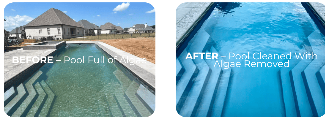 How to Get Rid of Pool Algae - Care Free Pools, LLC